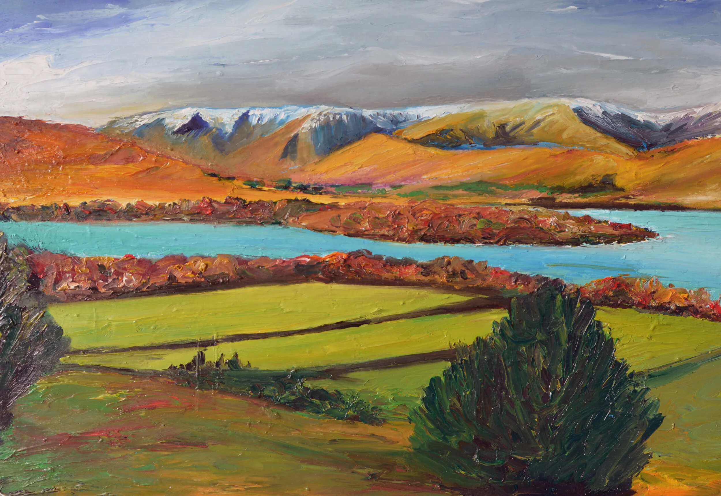 Shop — Aoife Dowd Artist