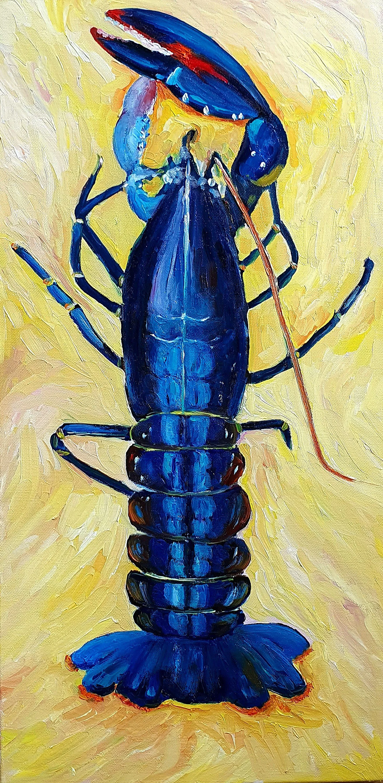 Shop — Aoife Dowd Artist