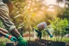 Just Climate Assets Fund — Grieg Foundation