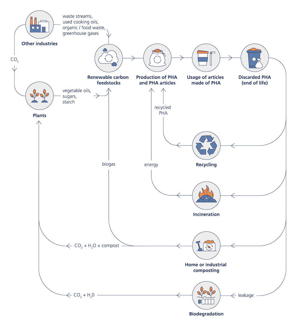 GO!PHA — What is PHA