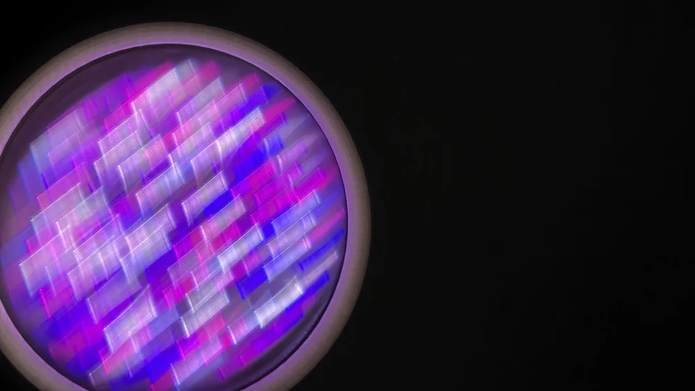 GOTYA 2022 Winners — Designers Australia Awards - Presented By Design ...