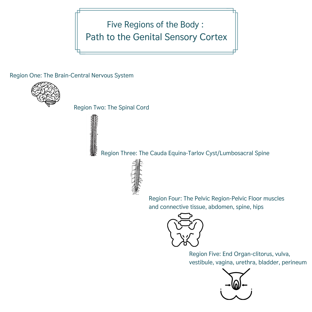 What the heck is PGAD?!?! — Bethany's Hansen, LLC