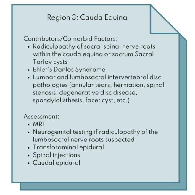 What the heck is PGAD?!?! — Bethany's Hansen, LLC