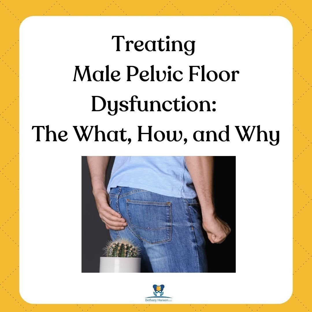 Treating Male Pelvic Floor Dysfunction: The What, How, and Why ...
