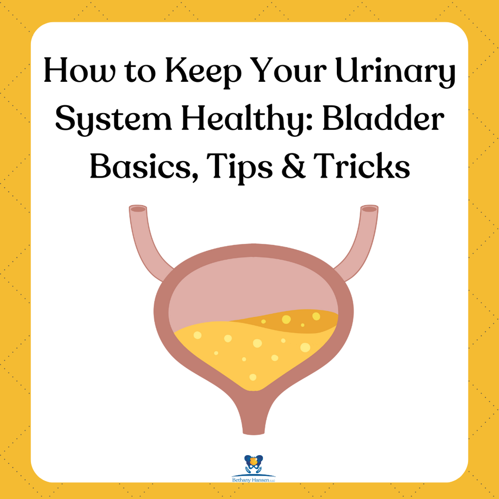 How to Keep Your Urinary System Healthy: Bladder Basics, Tips & Tricks ...
