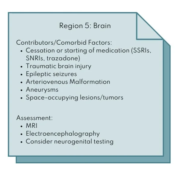 What the heck is PGAD?!?! — Bethany's Hansen, LLC