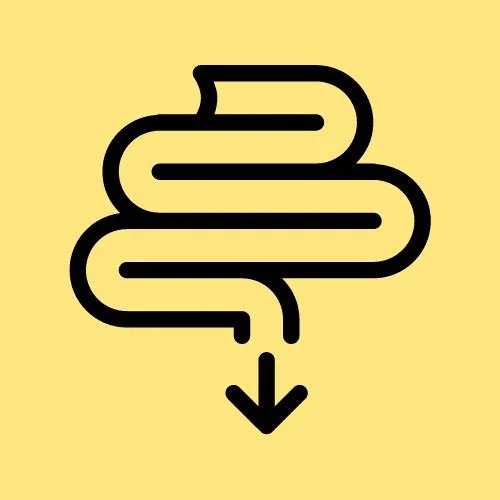 Bowel Dysfunction — Bethany's Hansen, LLC