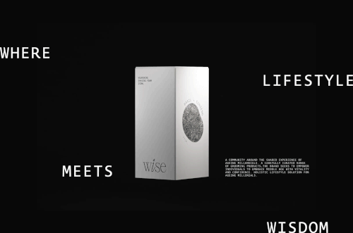 Wise — Mechi Co. Design