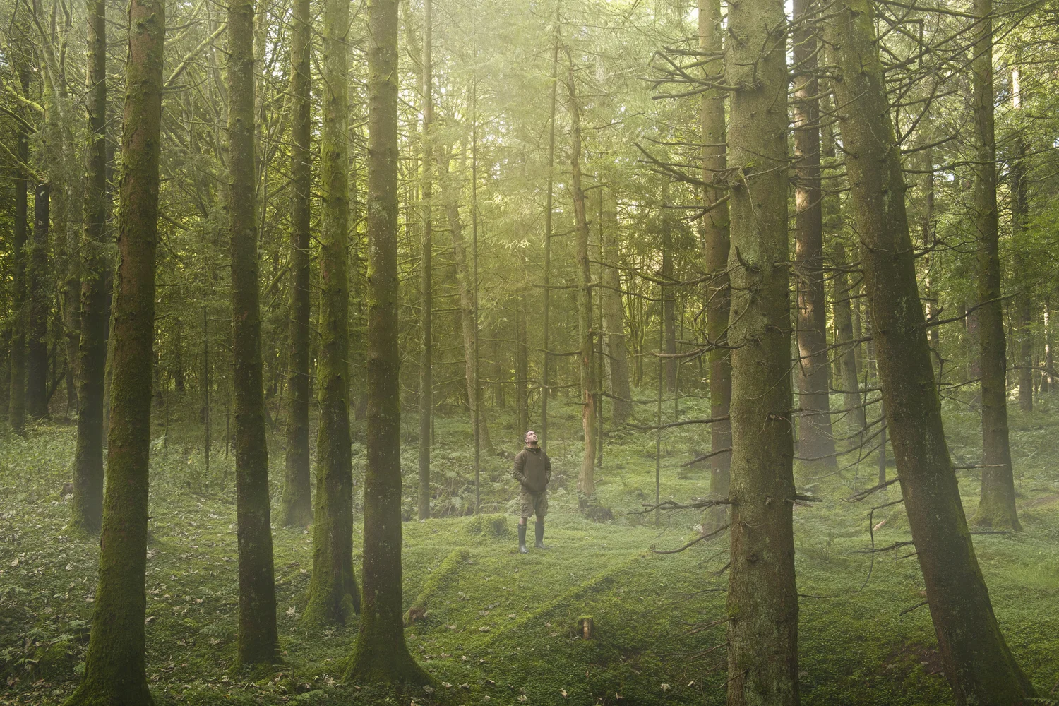 About — FOREST CIRCLE
