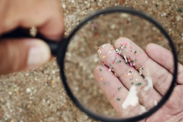 The Impact Of Microplastics And Heavy Metals On Health — Blue Skye