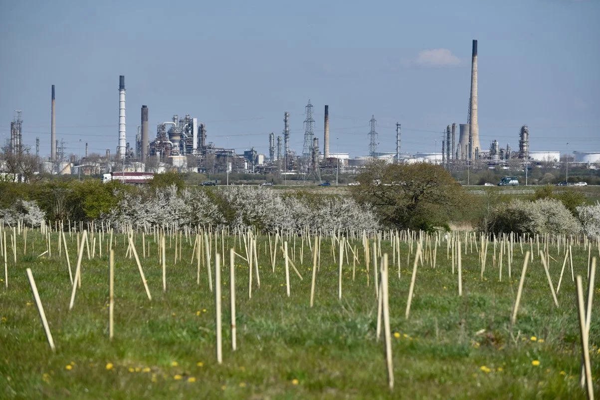 Trees for Climate — England's Community Forests