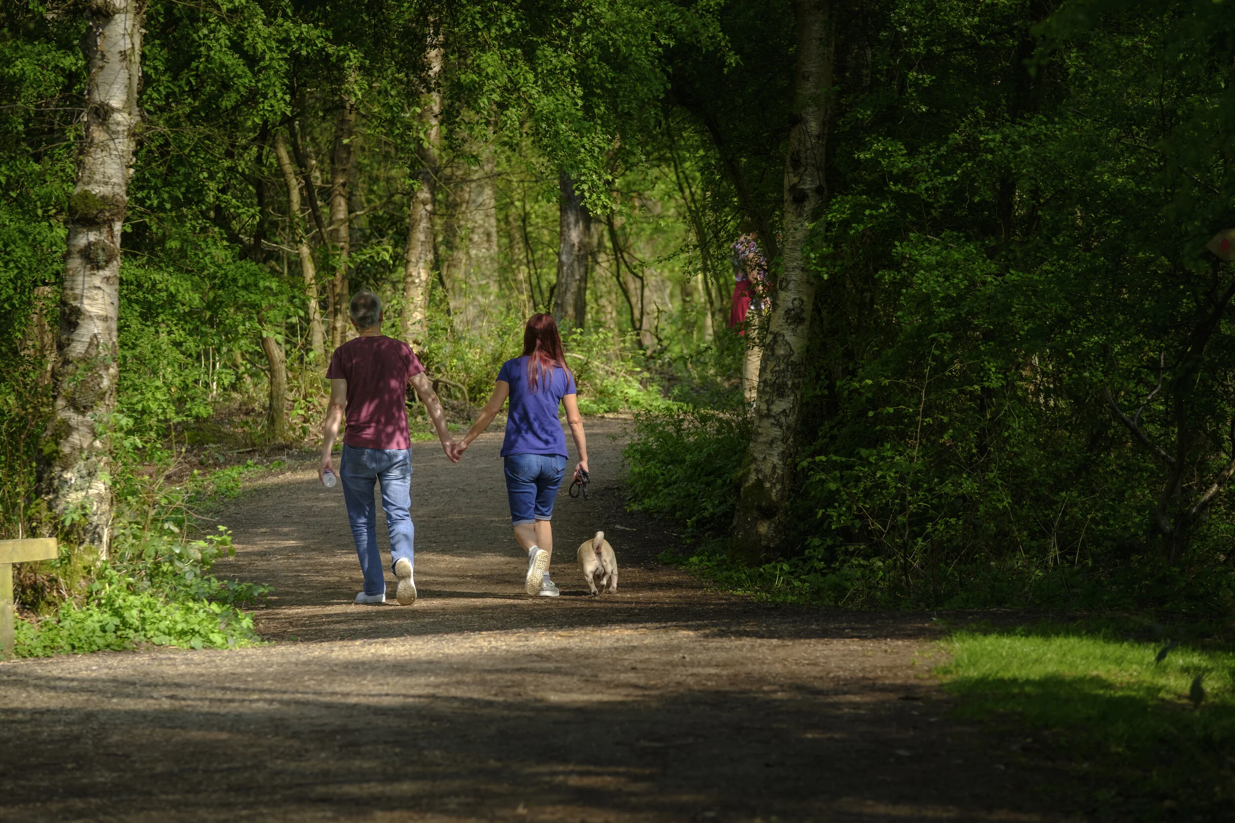 Why is Our Work Important? — England's Community Forests