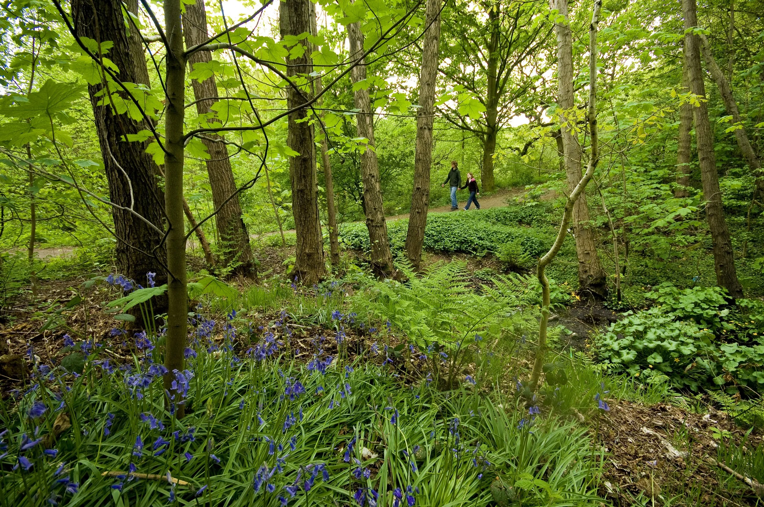 England's Community Forests