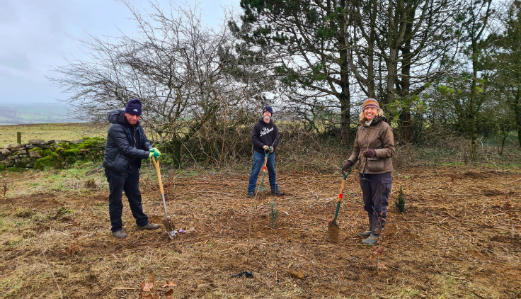 Trees for Climate — England's Community Forests
