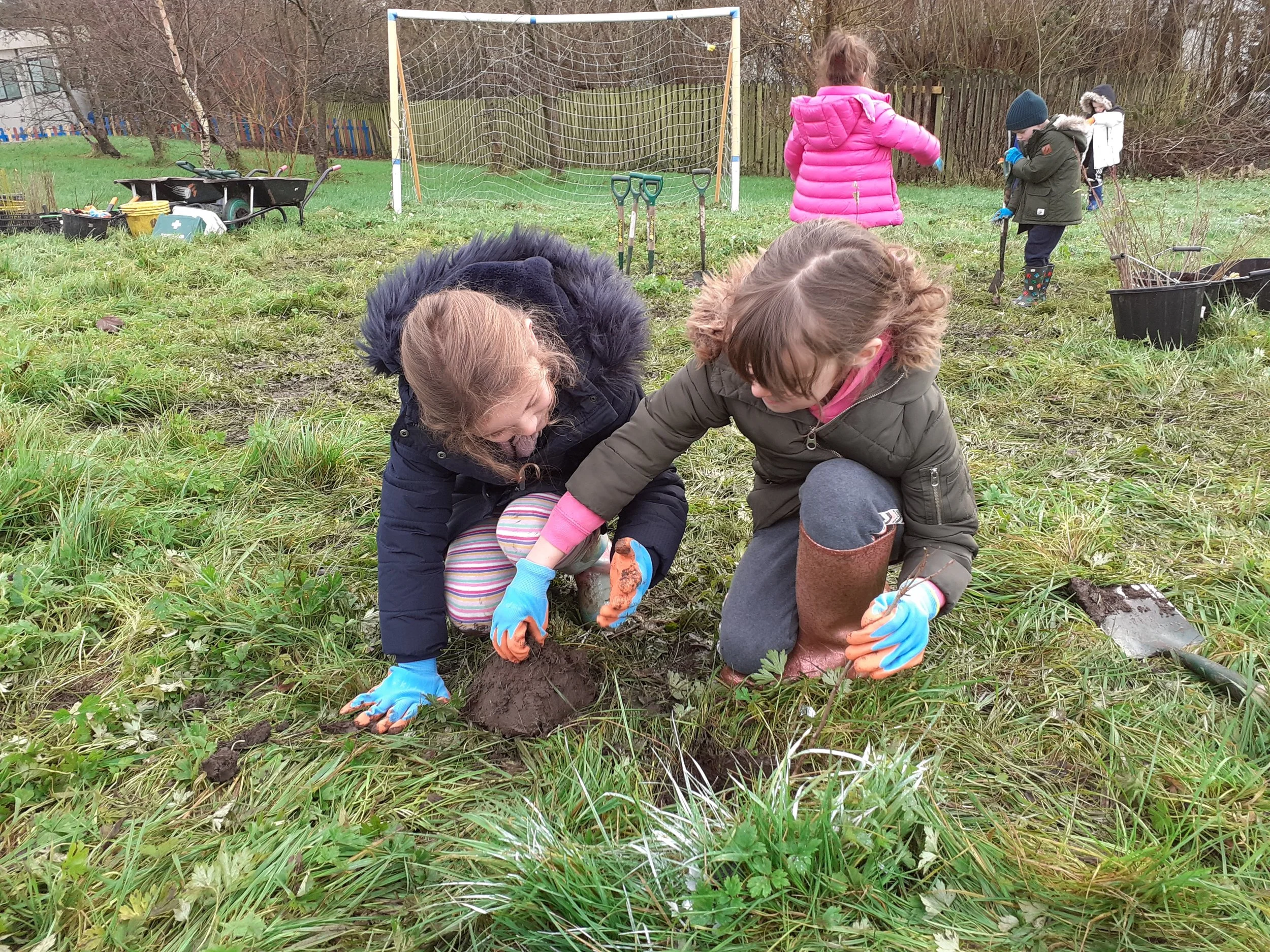 Trees for Climate — England's Community Forests