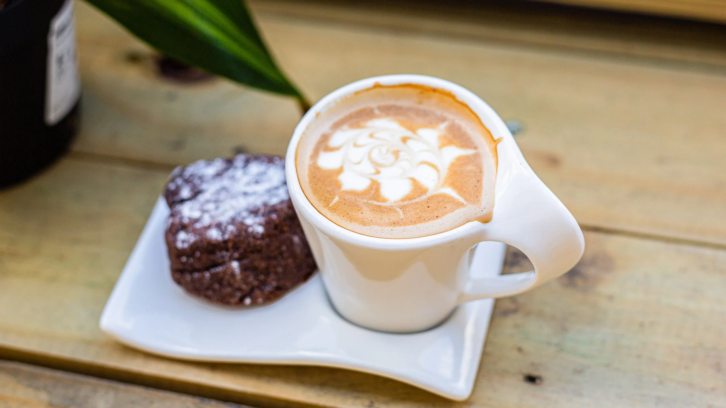 Social House Cafe