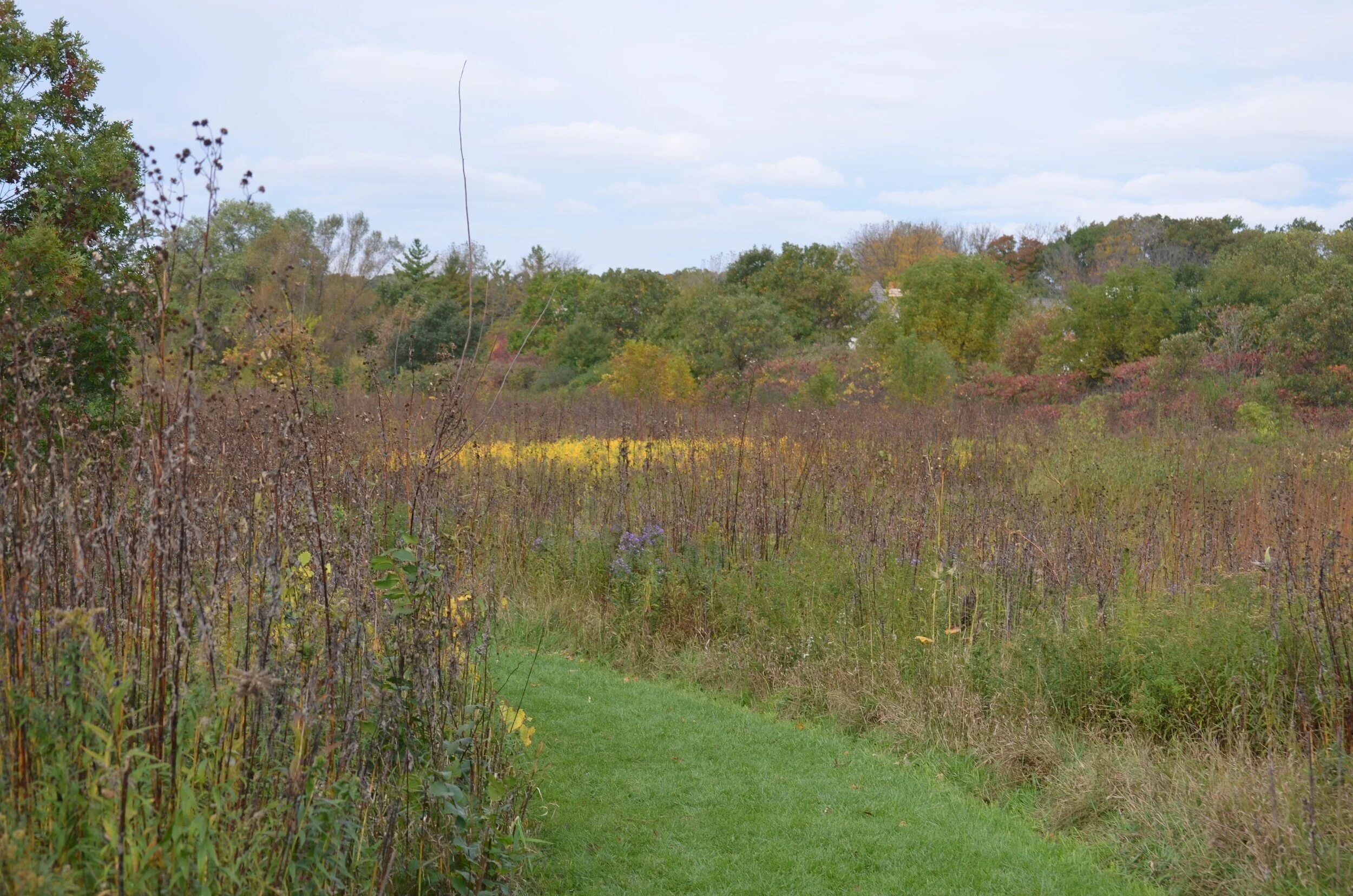 Contact 1 — ALEXANDER LAW, LLC