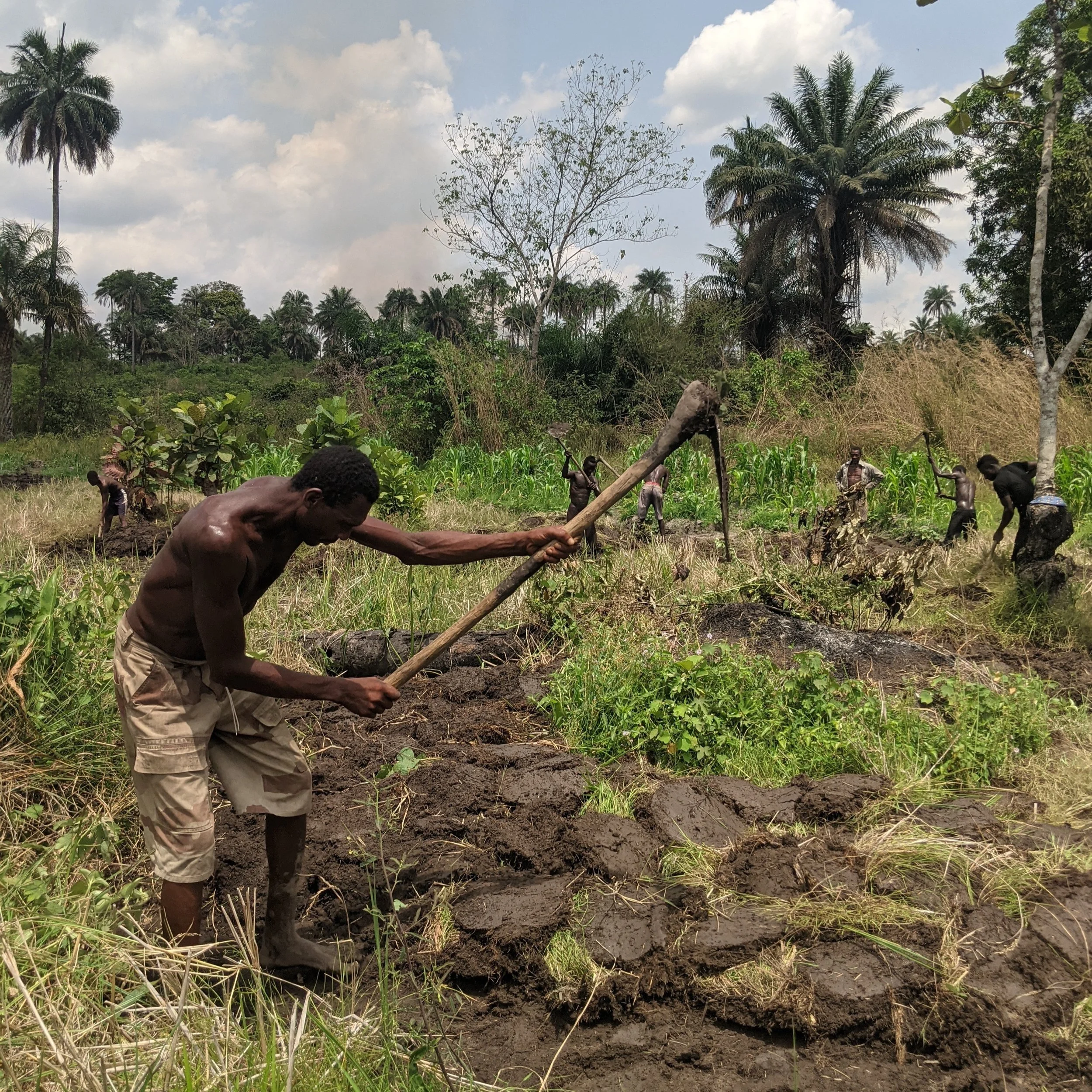 Agriculture — Reseed.org.uk