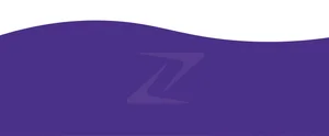 CDZ Sales