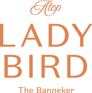 Lady Bird — Best Rooftop Bar in Washington DC