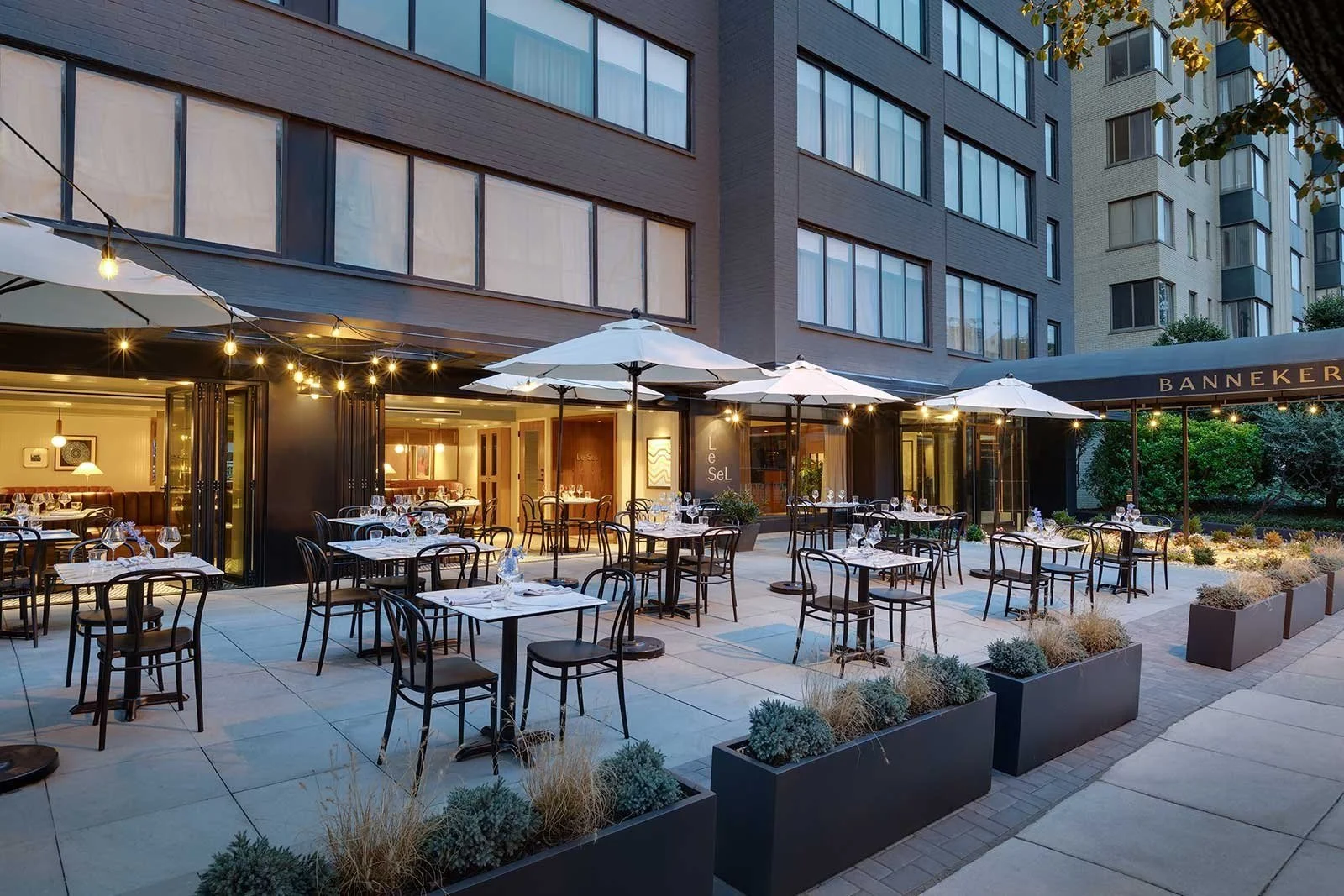 Gallery — Le Sel — Washington DC