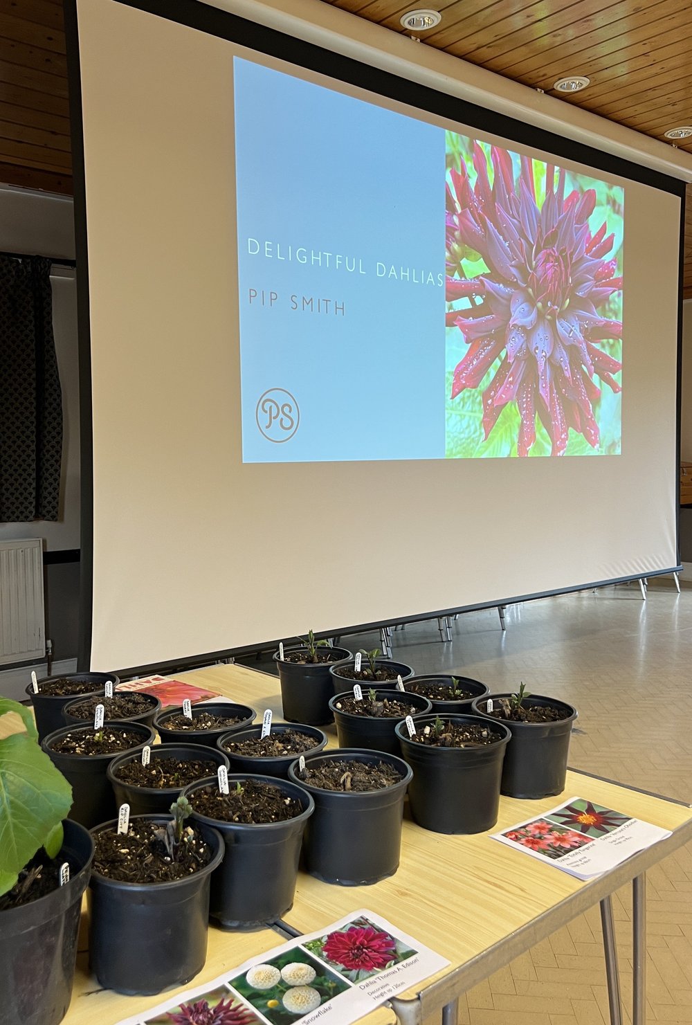 Pip Smith - Talks and lectures to garden clubs and societies