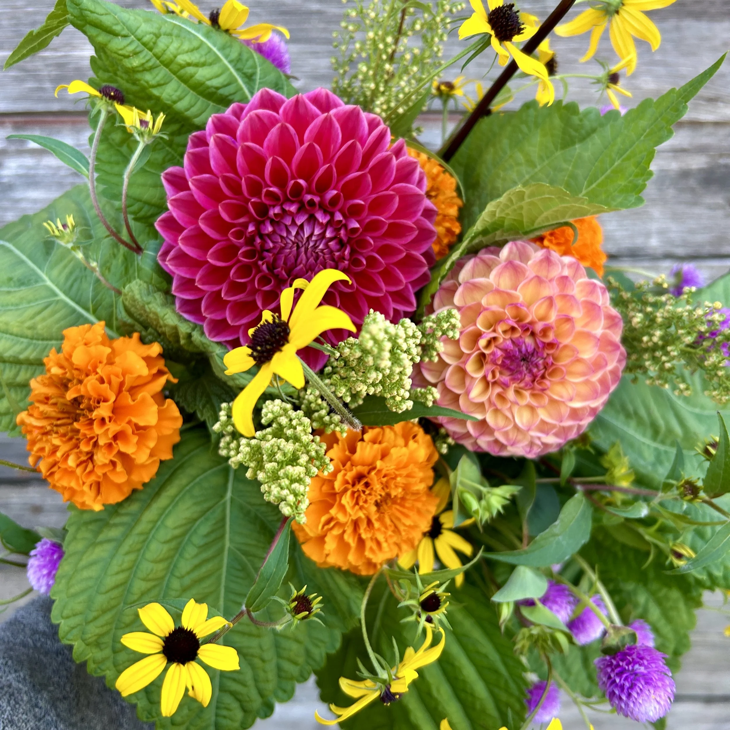 Shop — Stone Hearth Farm & Garden