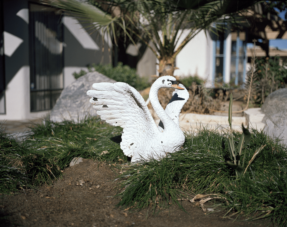 In The Shadow Of The Valley — M. Wesley Ham / Photography