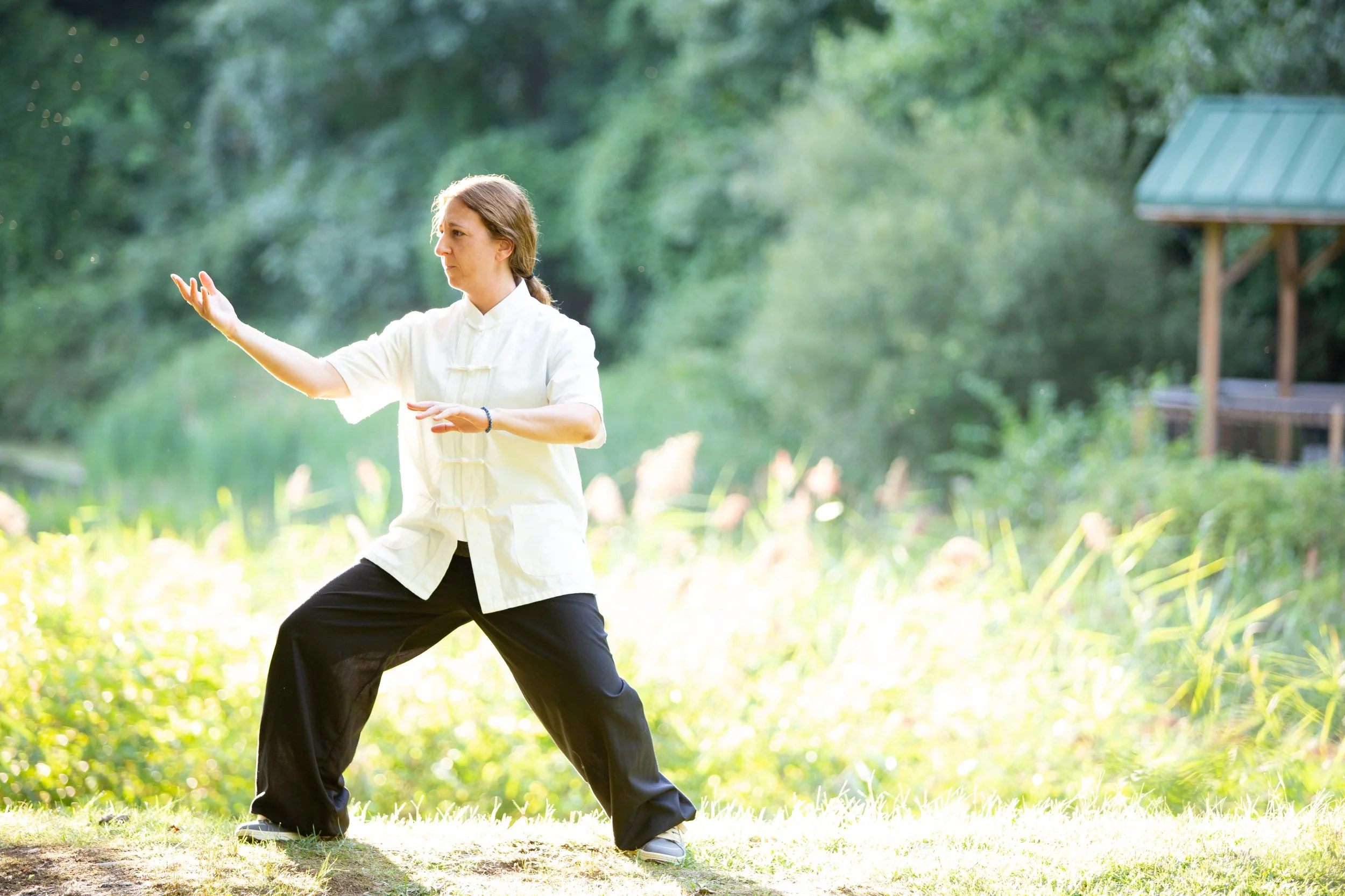 Tai Chi & Qi Gong with Lisa Russell: Classes in NY/NJ & Online