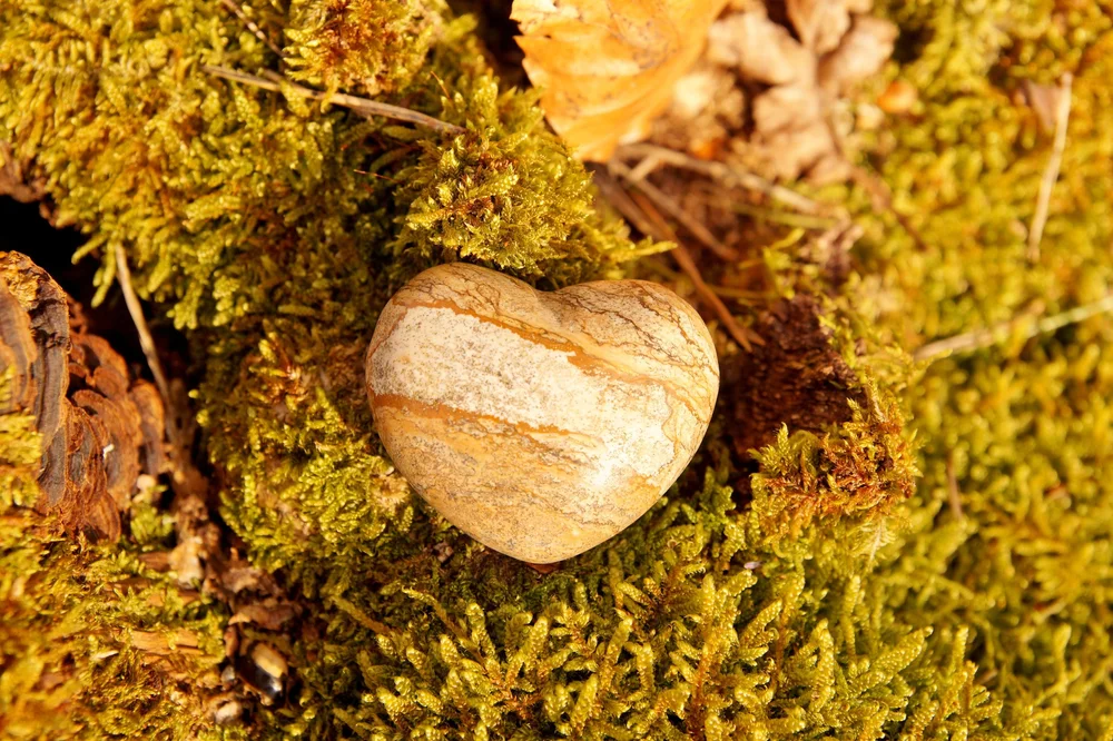 Autumn is the Season of Grief and Death — Jill S. Cohen