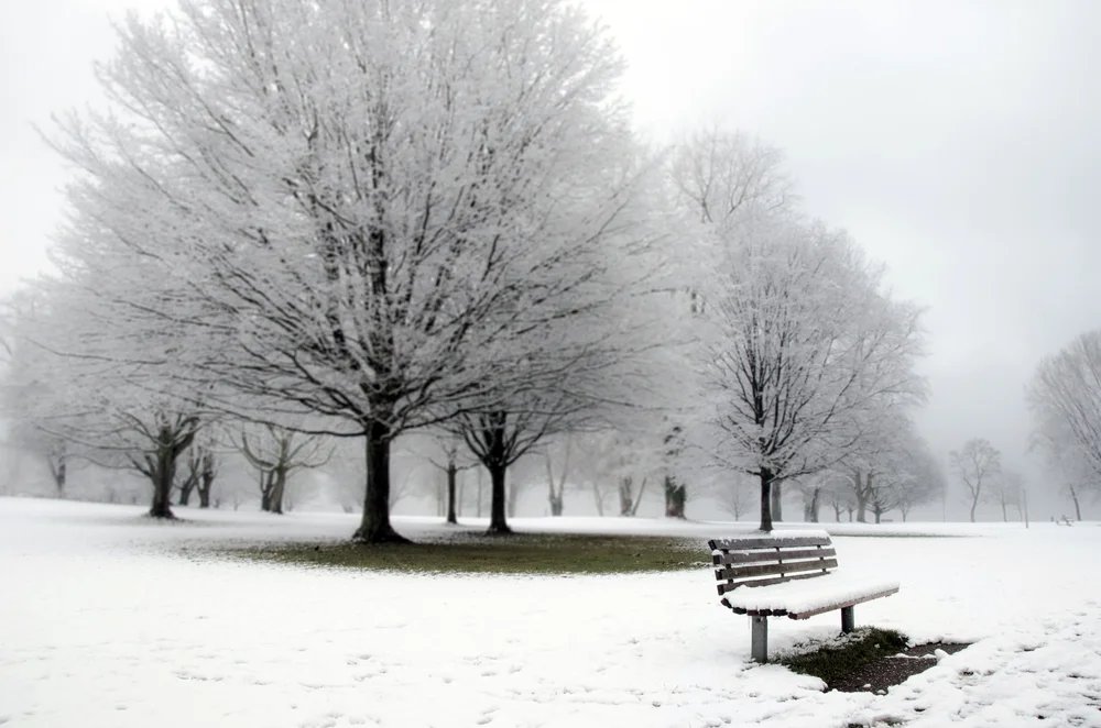 Coping With Grief in the Wintertime — Jill S. Cohen