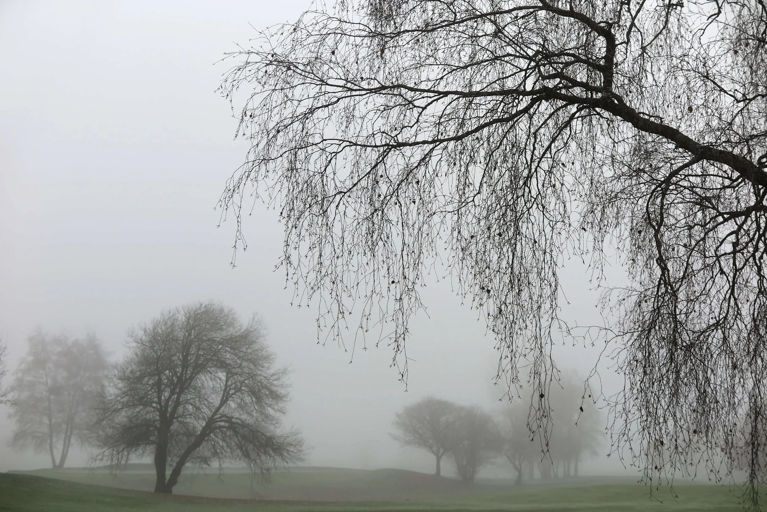 Coping With Grief in the Wintertime — Jill S. Cohen