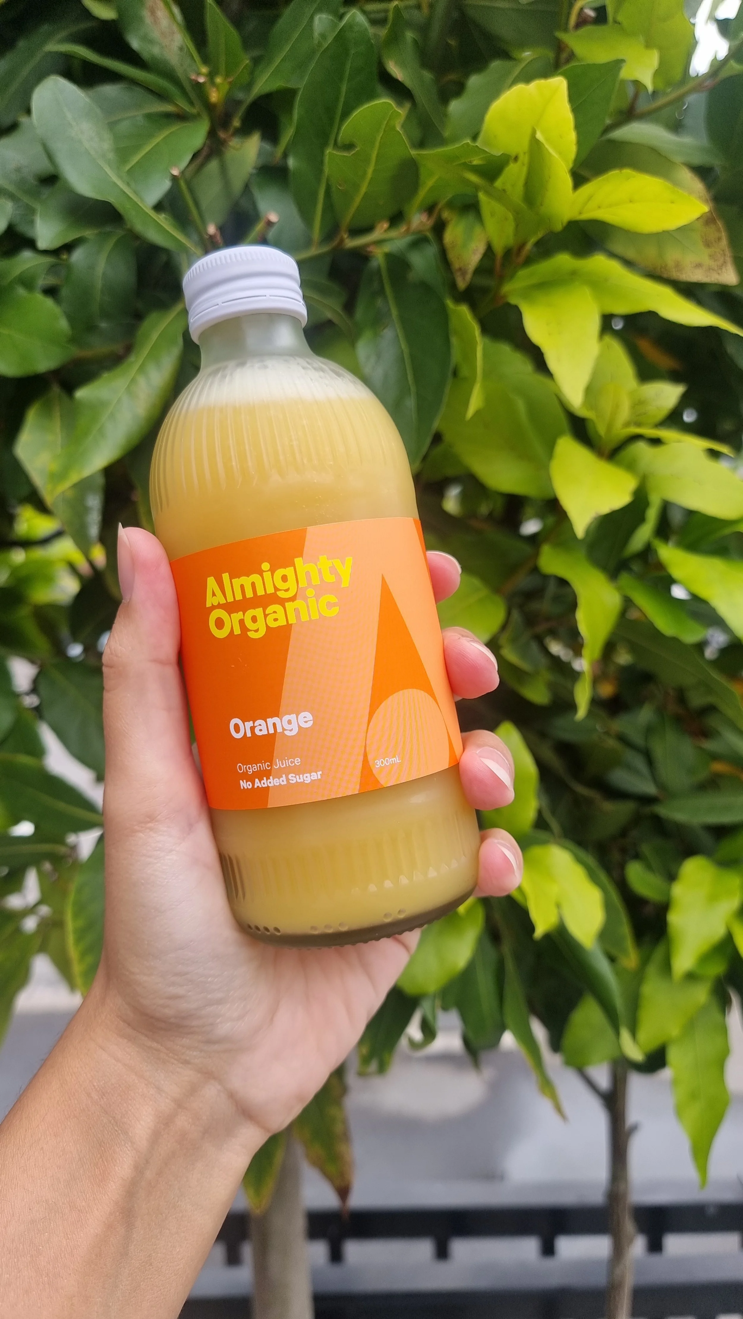 Online Store — Posh Porridge