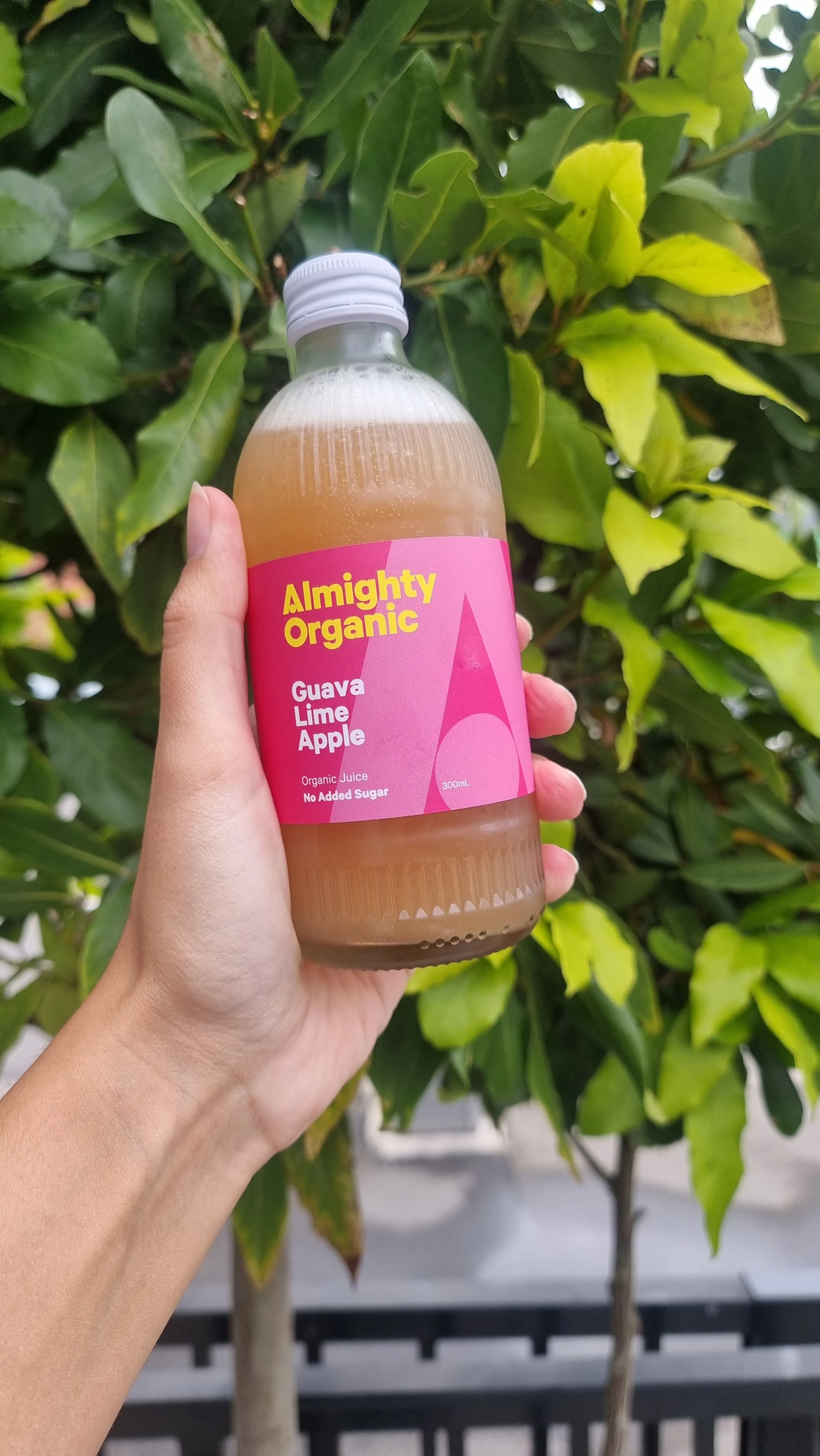 Online Store — Posh Porridge