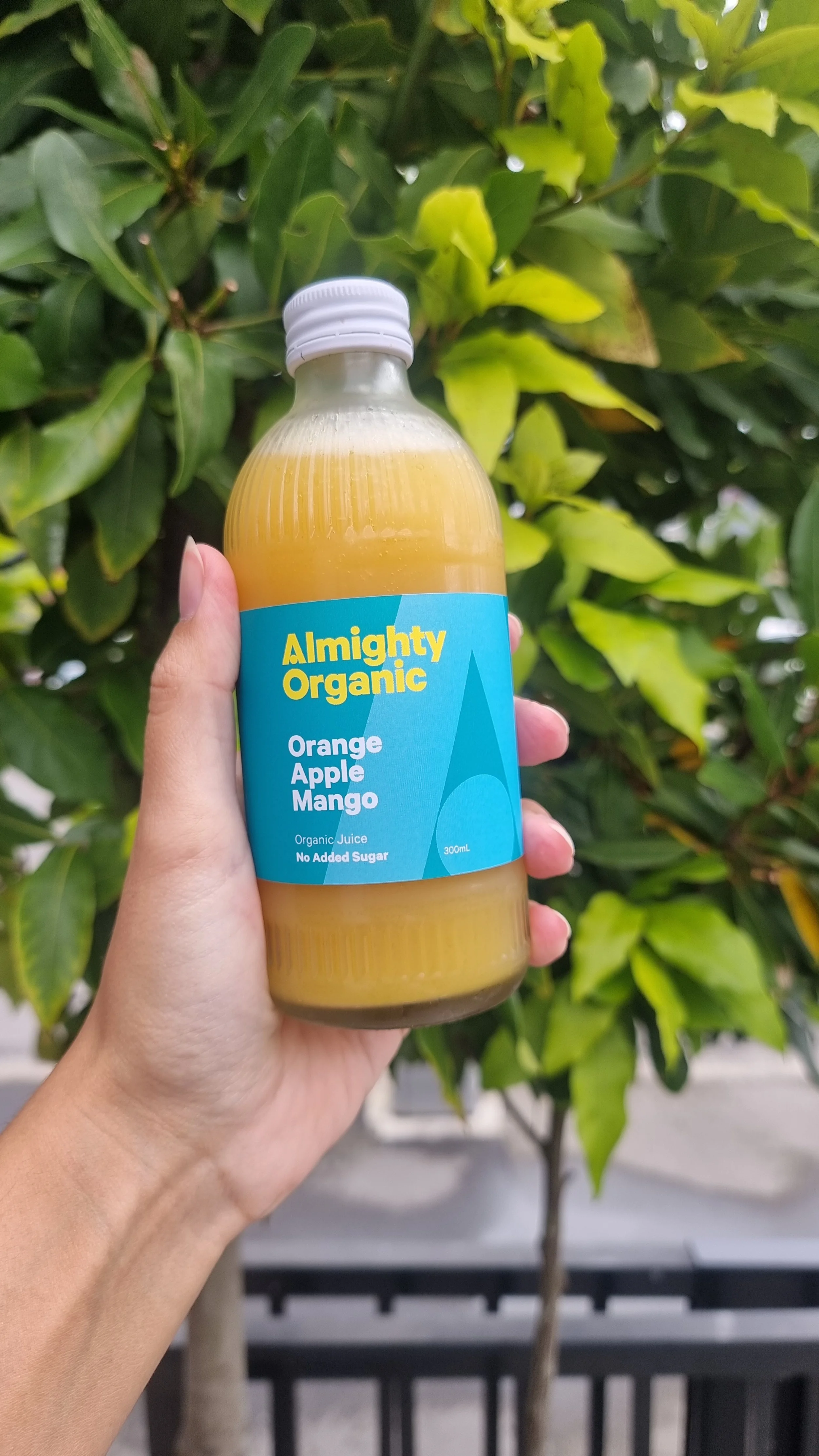 Online Store — Posh Porridge