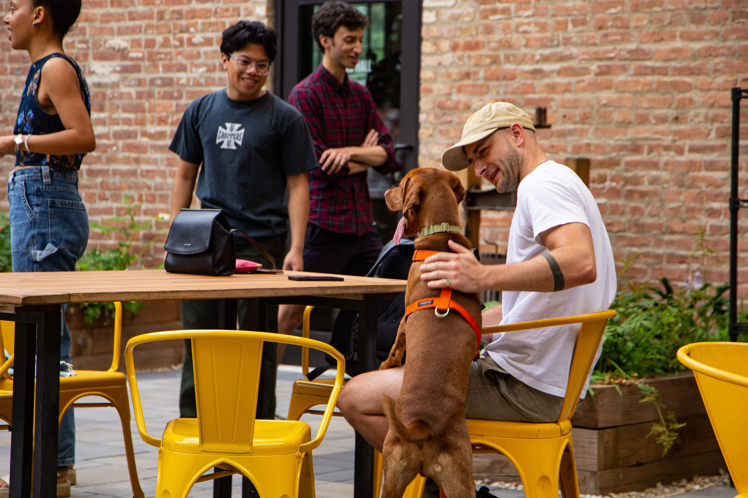 Membership — Guild Row | Chicago Social Club