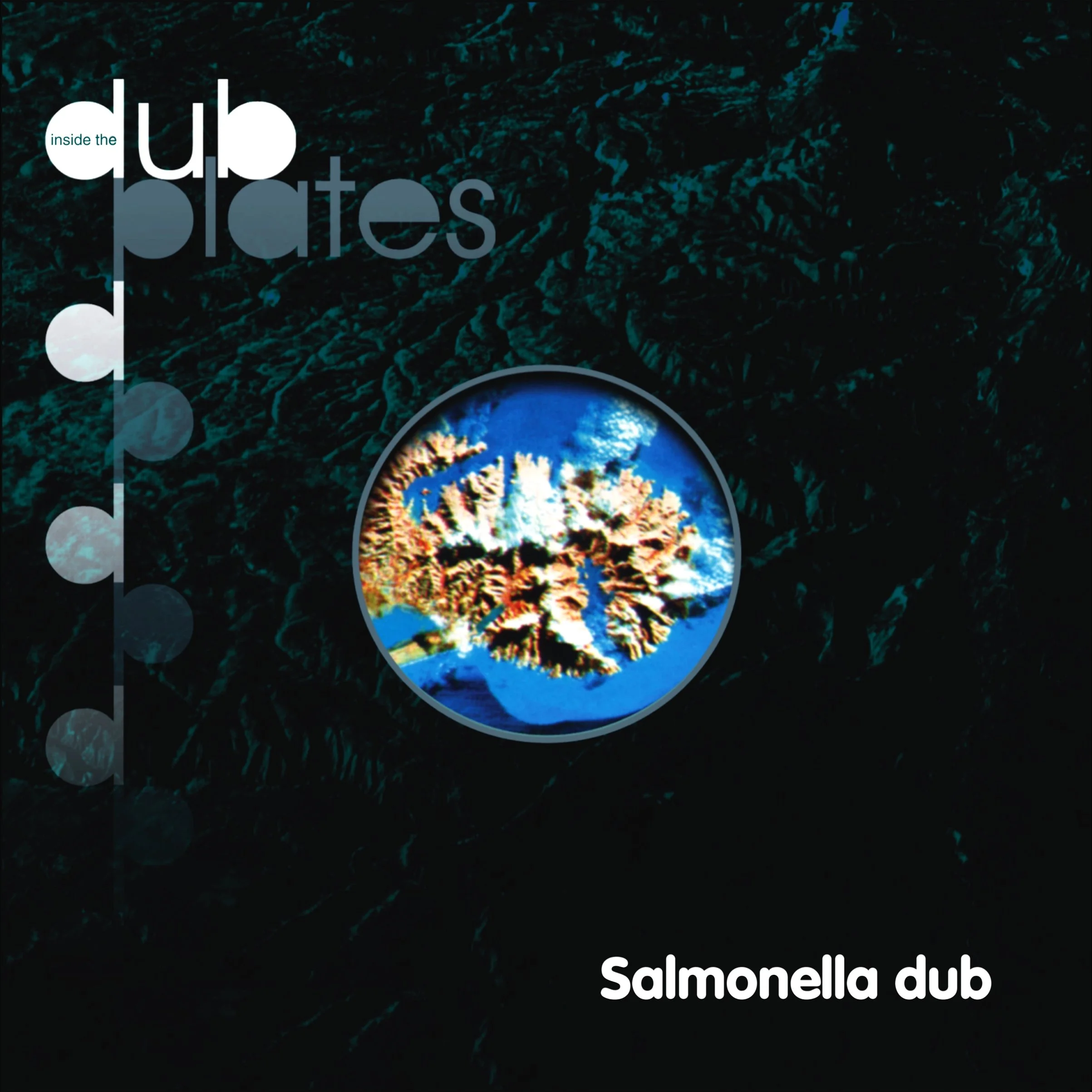 Salmonella Dub
