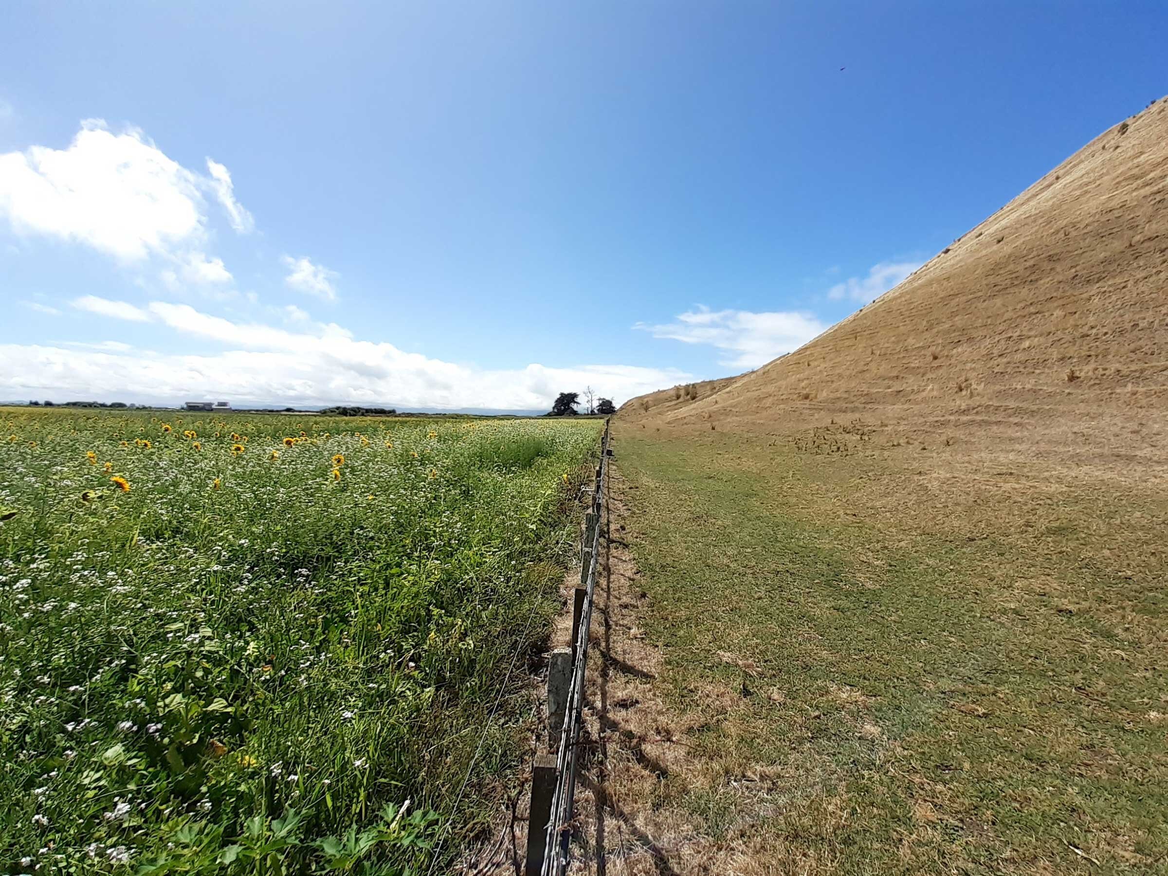 Orongo Station — Landscape Workshop