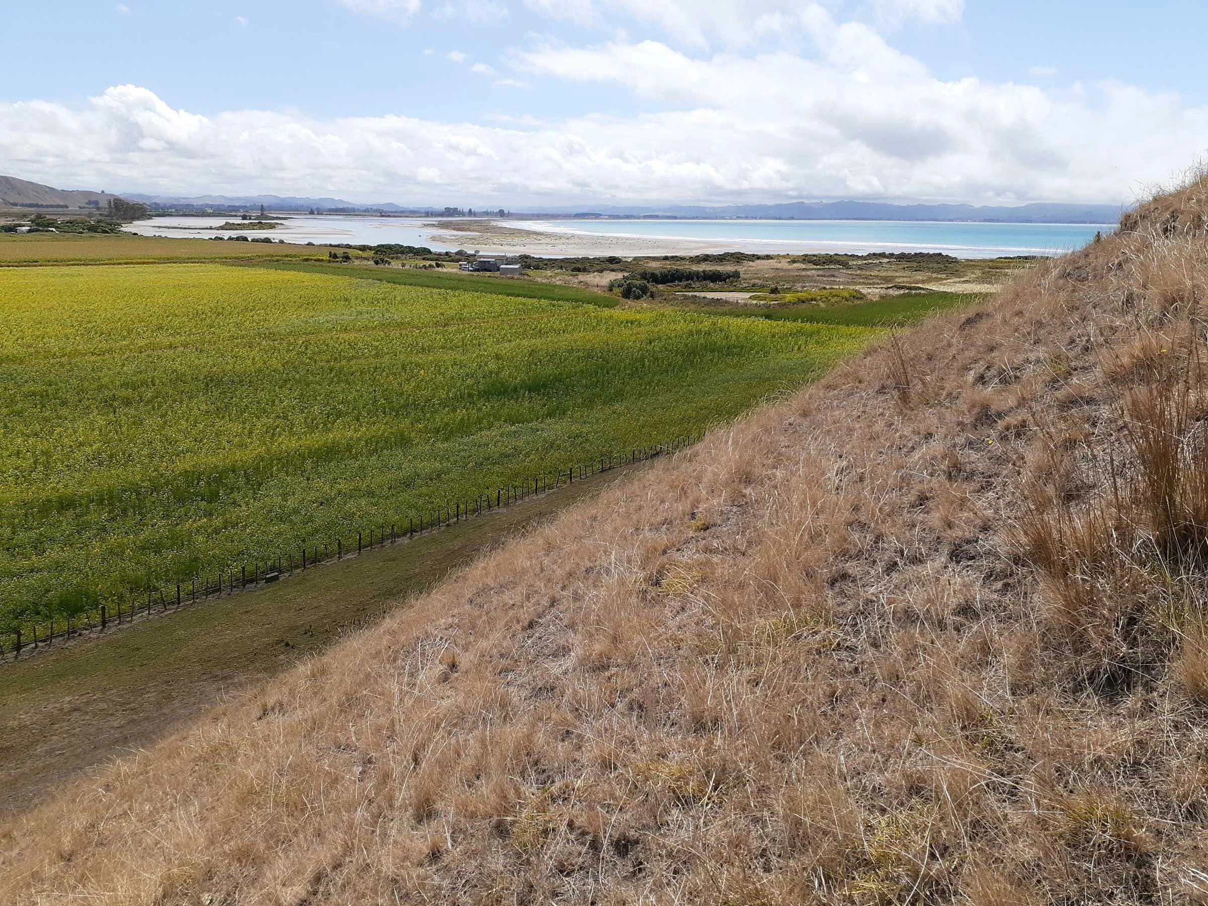 Orongo Station — Landscape Workshop