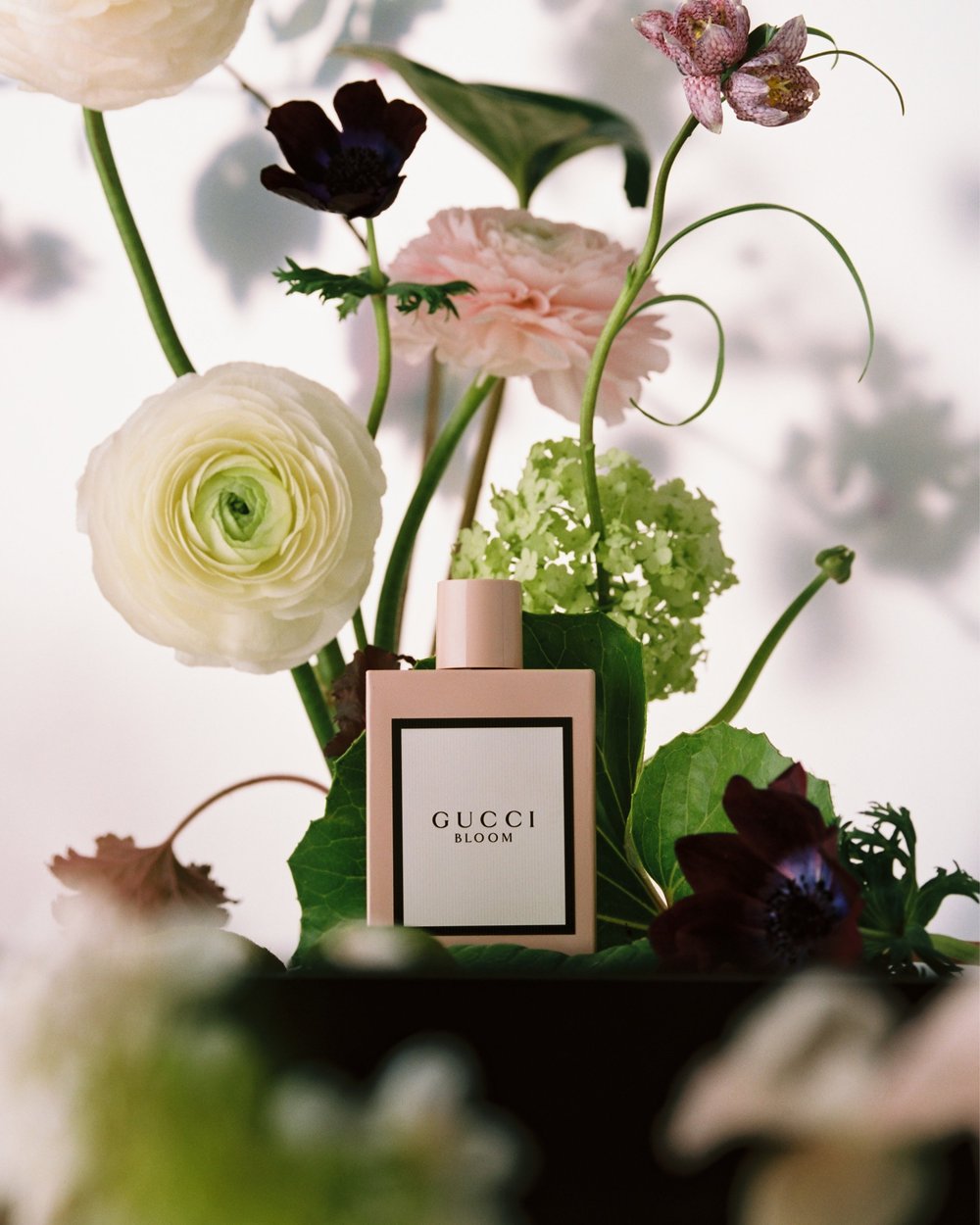 GUCCI BLOOM — Valentin Abad