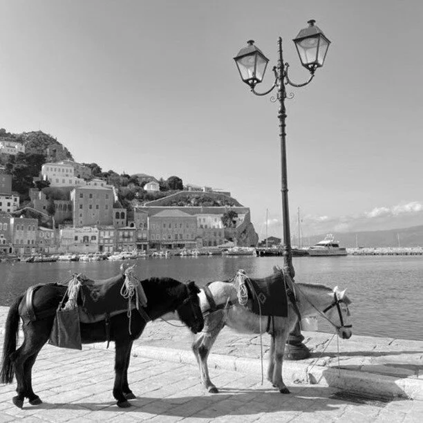 Cosmopolitan 5 star hotel in Hydra | Mandraki Beach Resort