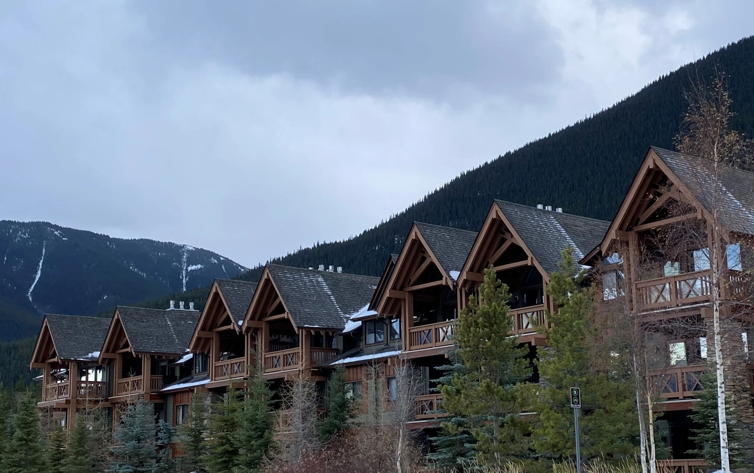 DVS Drywall Contractors