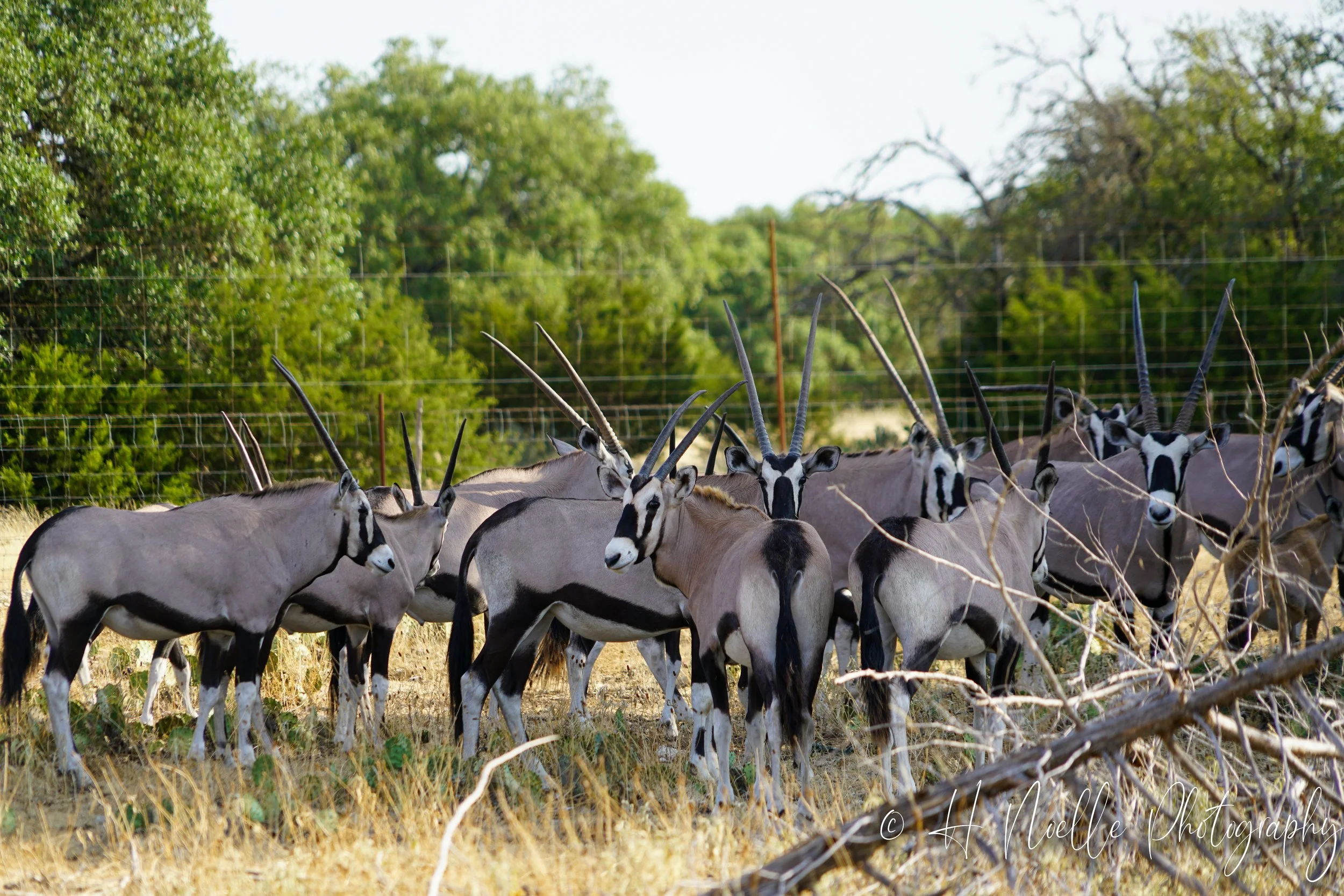 Big Bucks Ranch