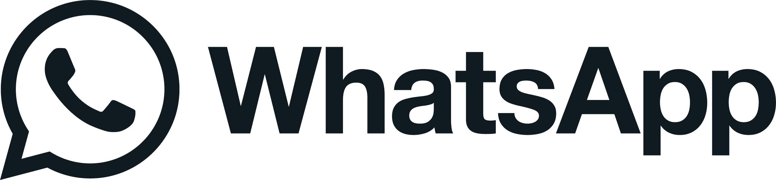 NAMSET: Clear Introductions to Technique — Mr Deniz Ates | Boxing Training