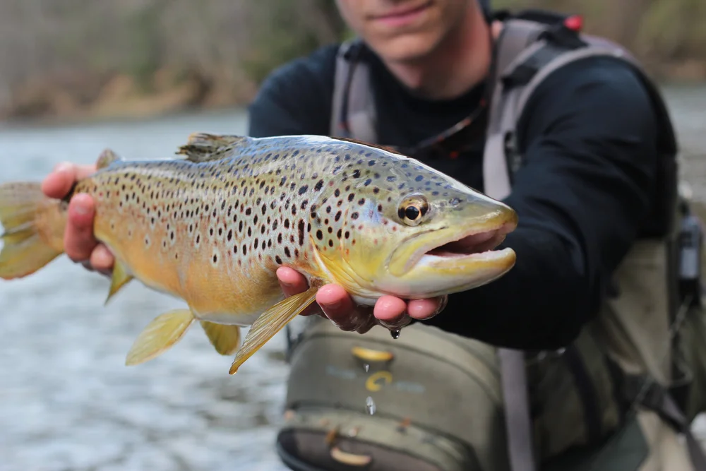 The Rivers we Guide for trout and steelhead In Pennsylvania, Maryland ...