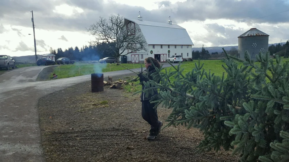 Lone Owl Farm