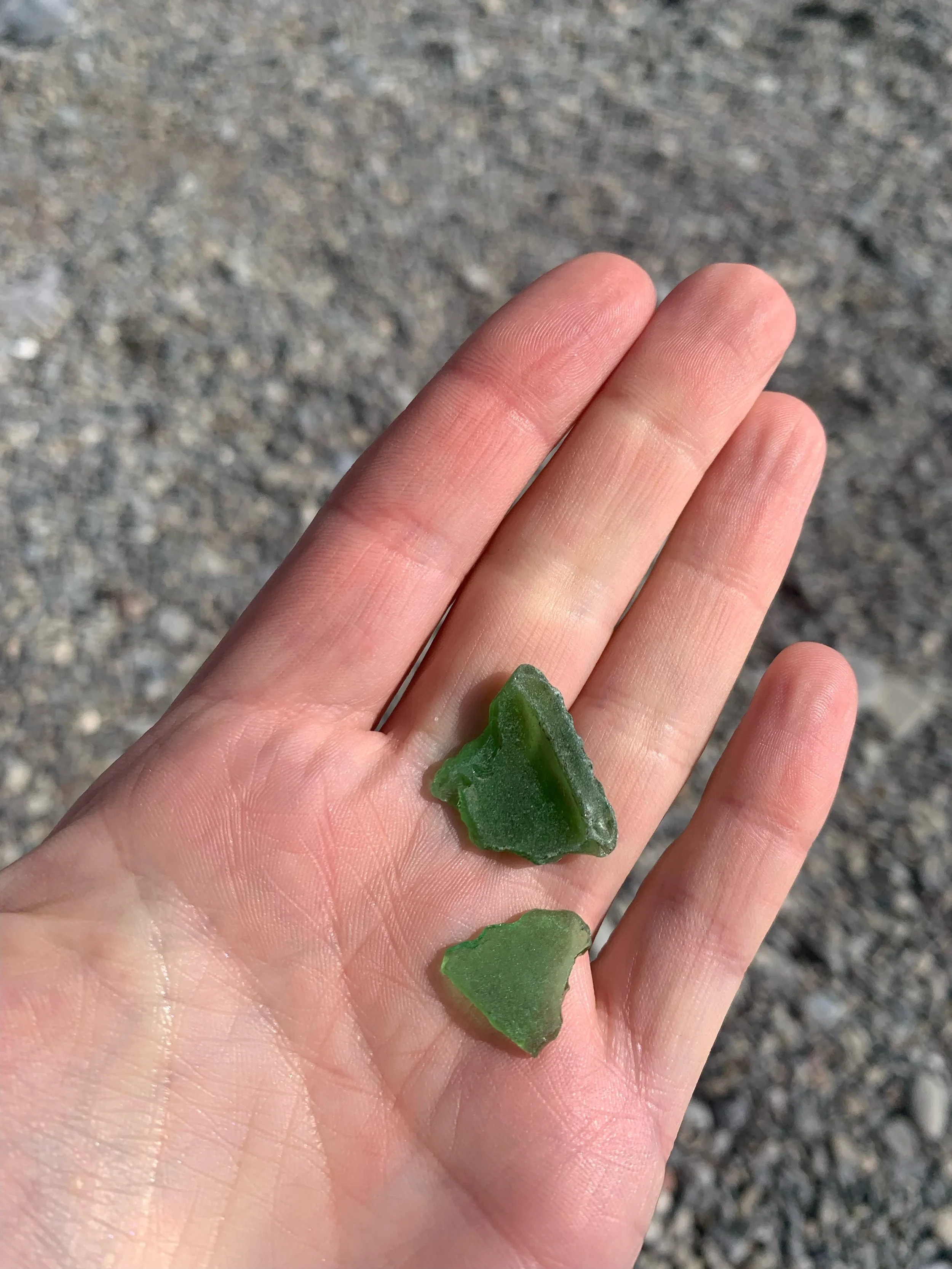 How To Collect Sea Treasure — Single Parents Wellbeing