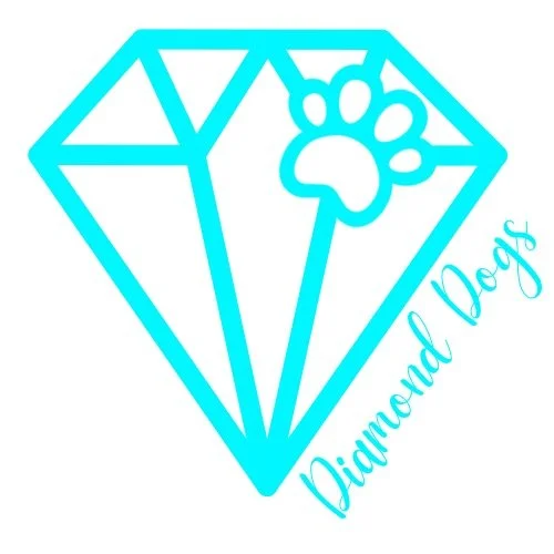 About Us / Expert Home Dog Training Solutions to Transform Your Dog's ...