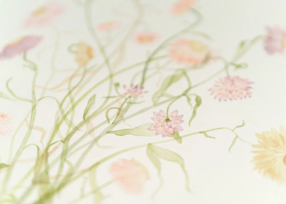 Beth Armstrong Design