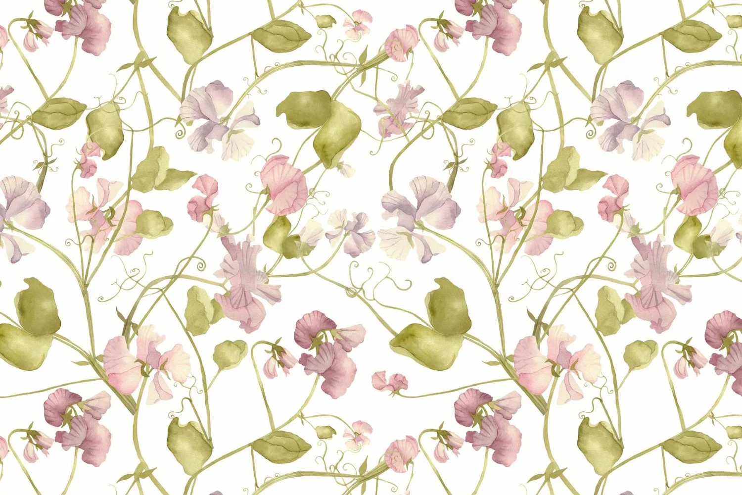 Beth Armstrong Design